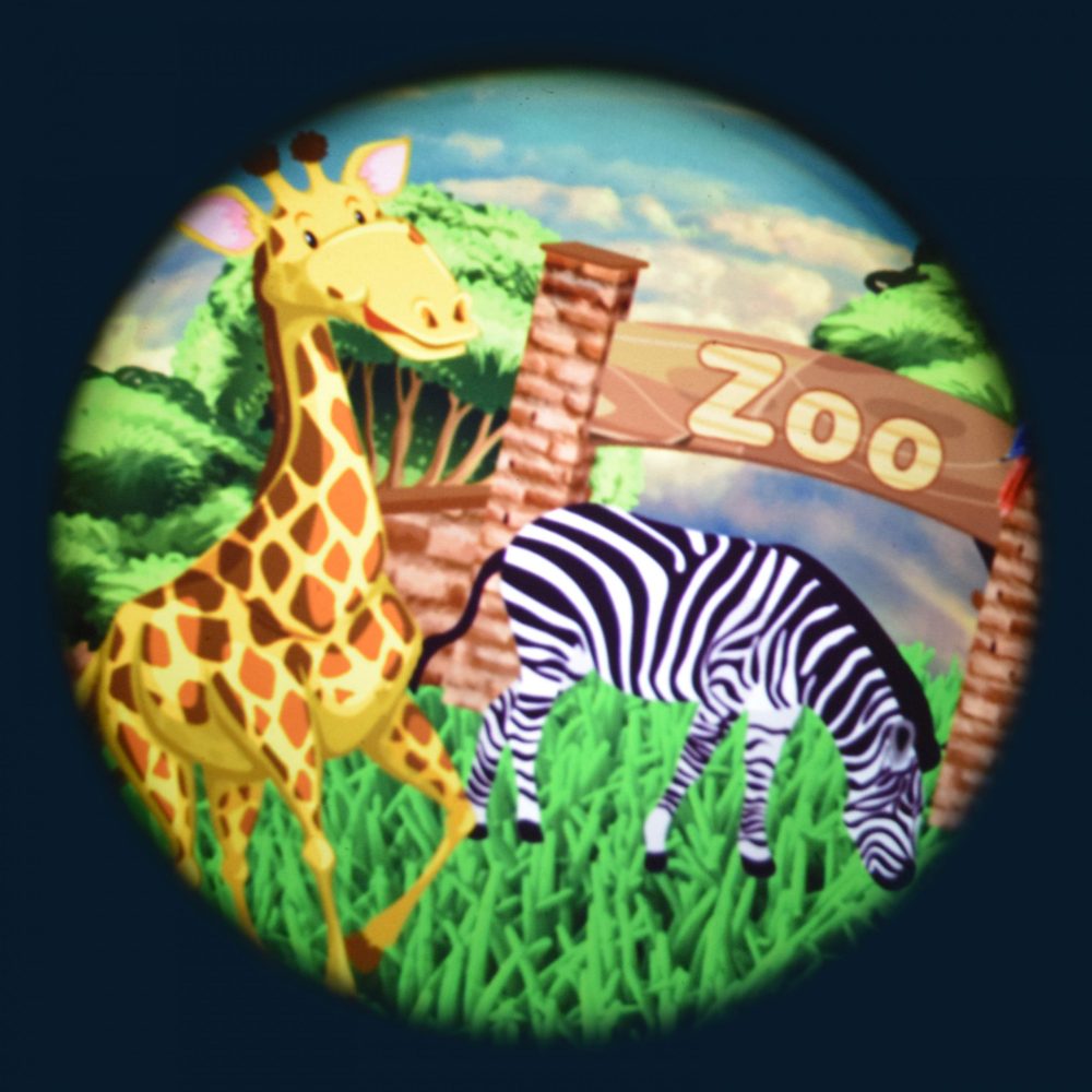 At The Zoo - 6” Picture Wheel - OptiKinetics via Wilkins International