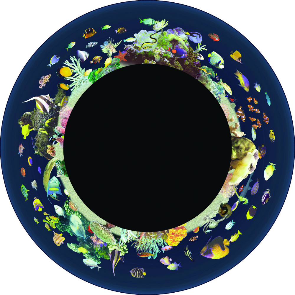 Max Effect Coral Reef - 9” Picture Wheel - OptiKinetics via Wilkins ...